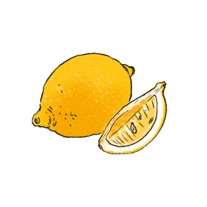 Petits moelleux au citron | La passion au bout des doigts, le NOUVEAU ...